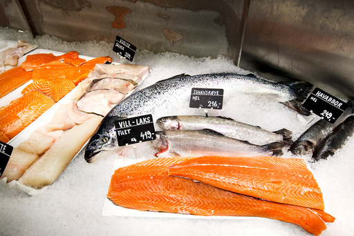 Sjøfiske etter laks med historisk bunnår - rbnett.no